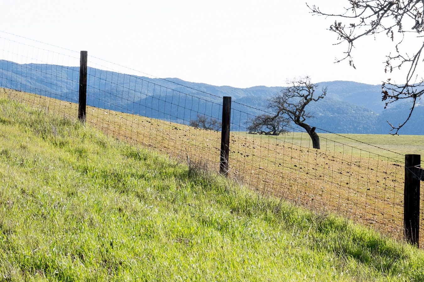 Santa Barbara – Tucson Photographer